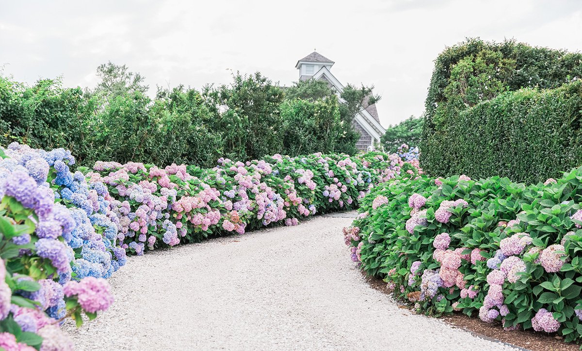 Nantucket wedding venues - Raleigh Wedding Photographers